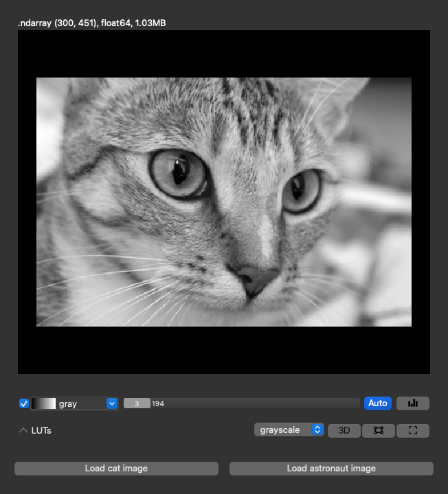 Embedding ArrayViewer - ndv